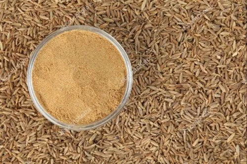 Benefits of Jeera Dry Extract – Adorreal Healthcare
