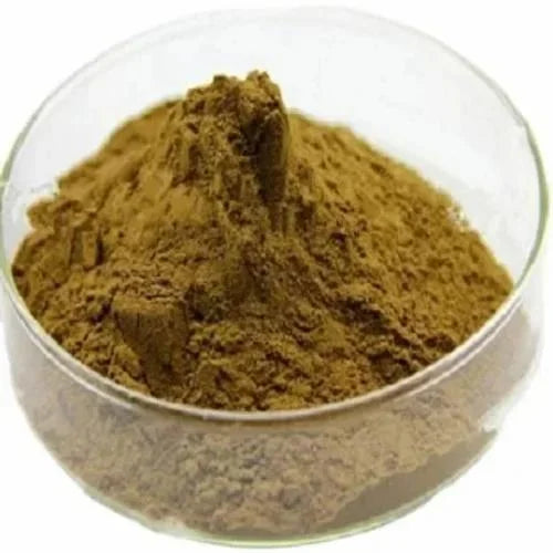 What is makoi or Solanum nigrum or black nightshade ? – Adorreal Healthcare