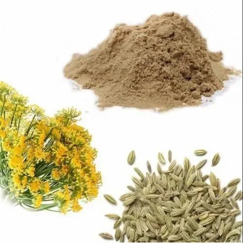 Benefits of Sauf dry extract – Adorreal Healthcare
