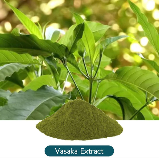Benefits of Vasaka Dry Extract – Adorreal Healthcare
